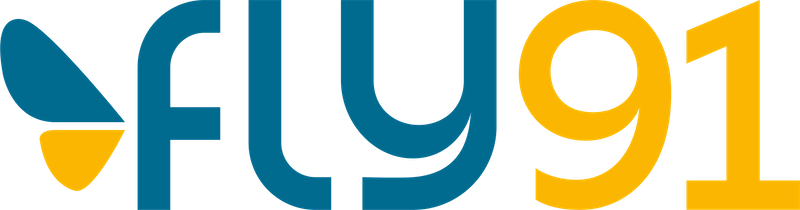 Fly91 - IFS Portal